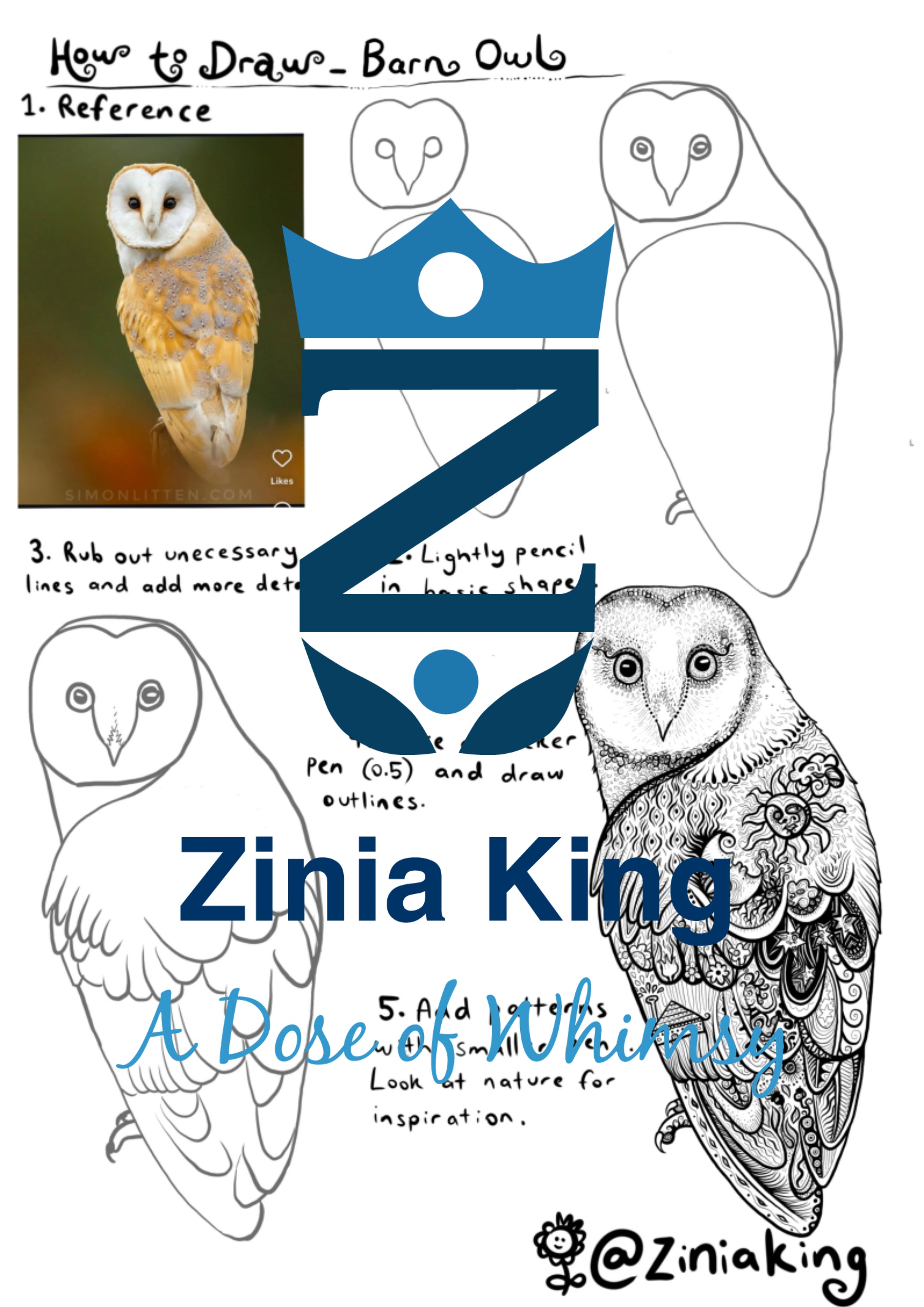 Barn Owl - How to Draw Sheet | Zinia King - A Dose of Whimsy